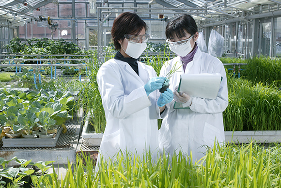 Agro & Life Solutions Research Laboratory | Overview of Research ...