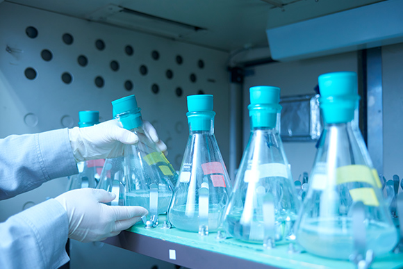 Bioscience Research Laboratory | Overview of Research Laboratories ...